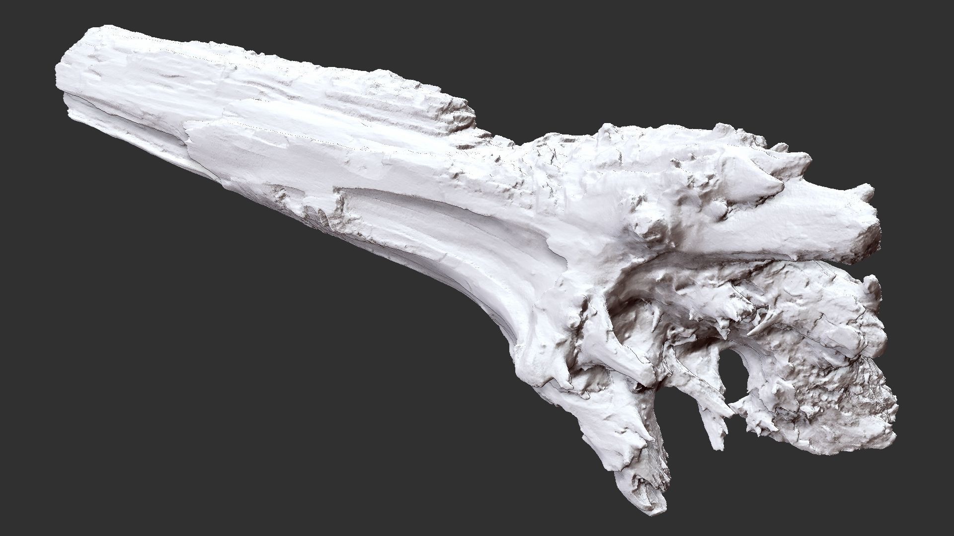 Withered tree trunk 3d scan 3D model | CGTrader