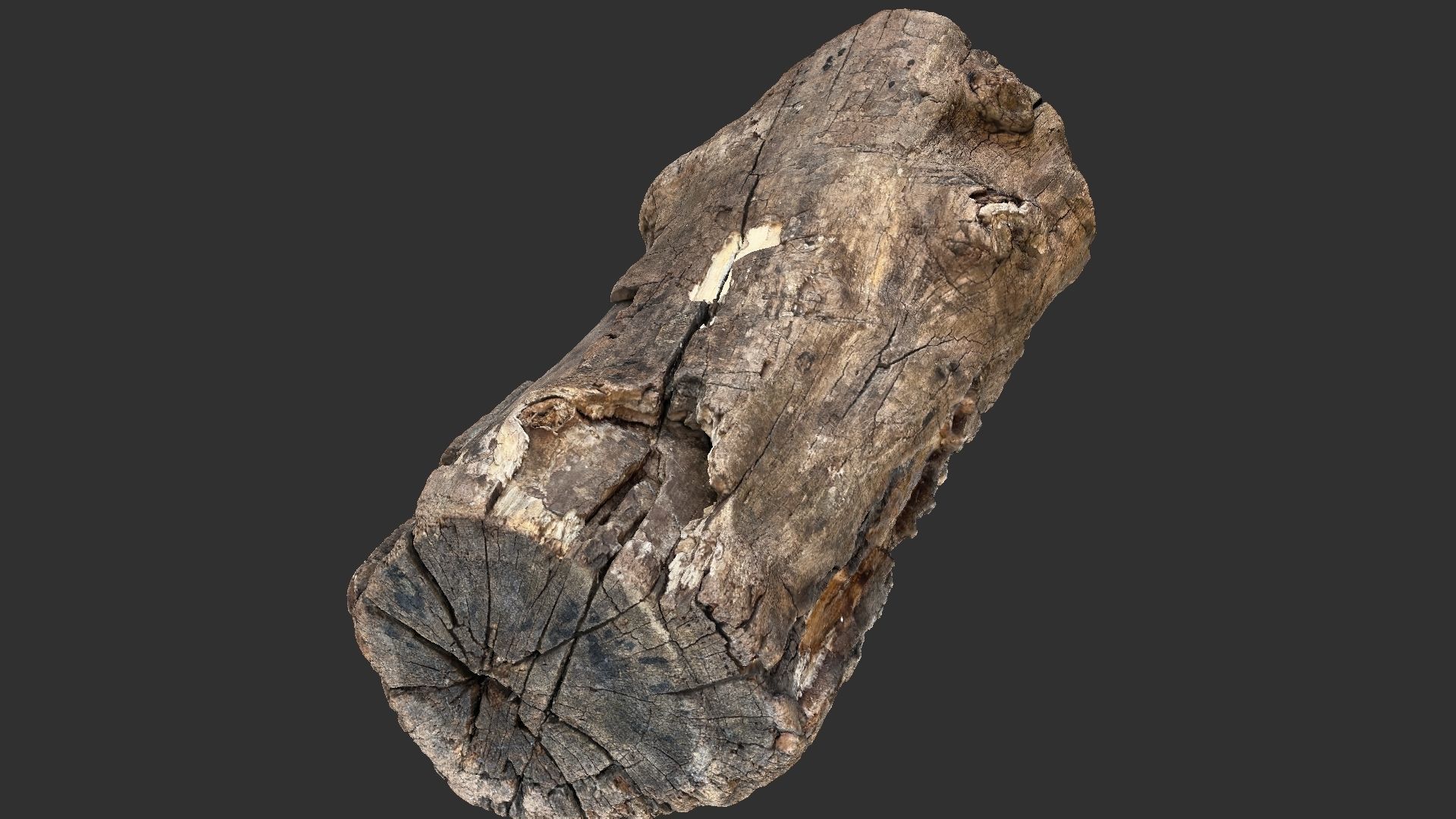 3d scan of Tree trunk 3D model | CGTrader