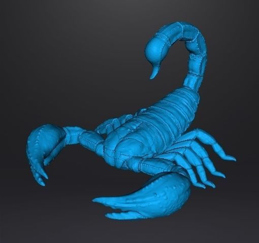 SCORPION REALISTIC FIGURE MODEL ANIMAL CREATURE WILDLIFE DND RPG 3D ...