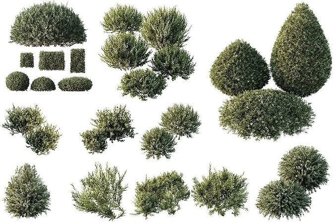 6 Different SETS of Bush SET VOL105 3D Model Collection | CGTrader