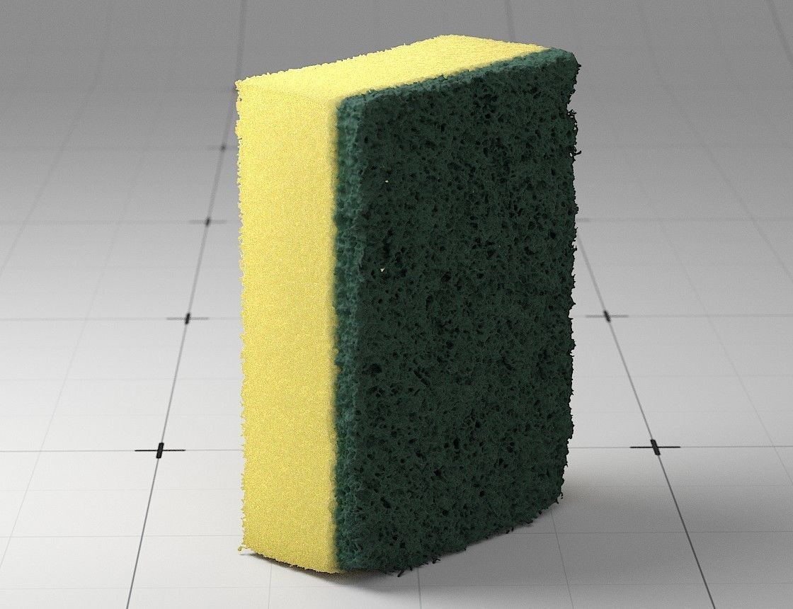 Detailed Sponge 3D Model 3D model | CGTrader