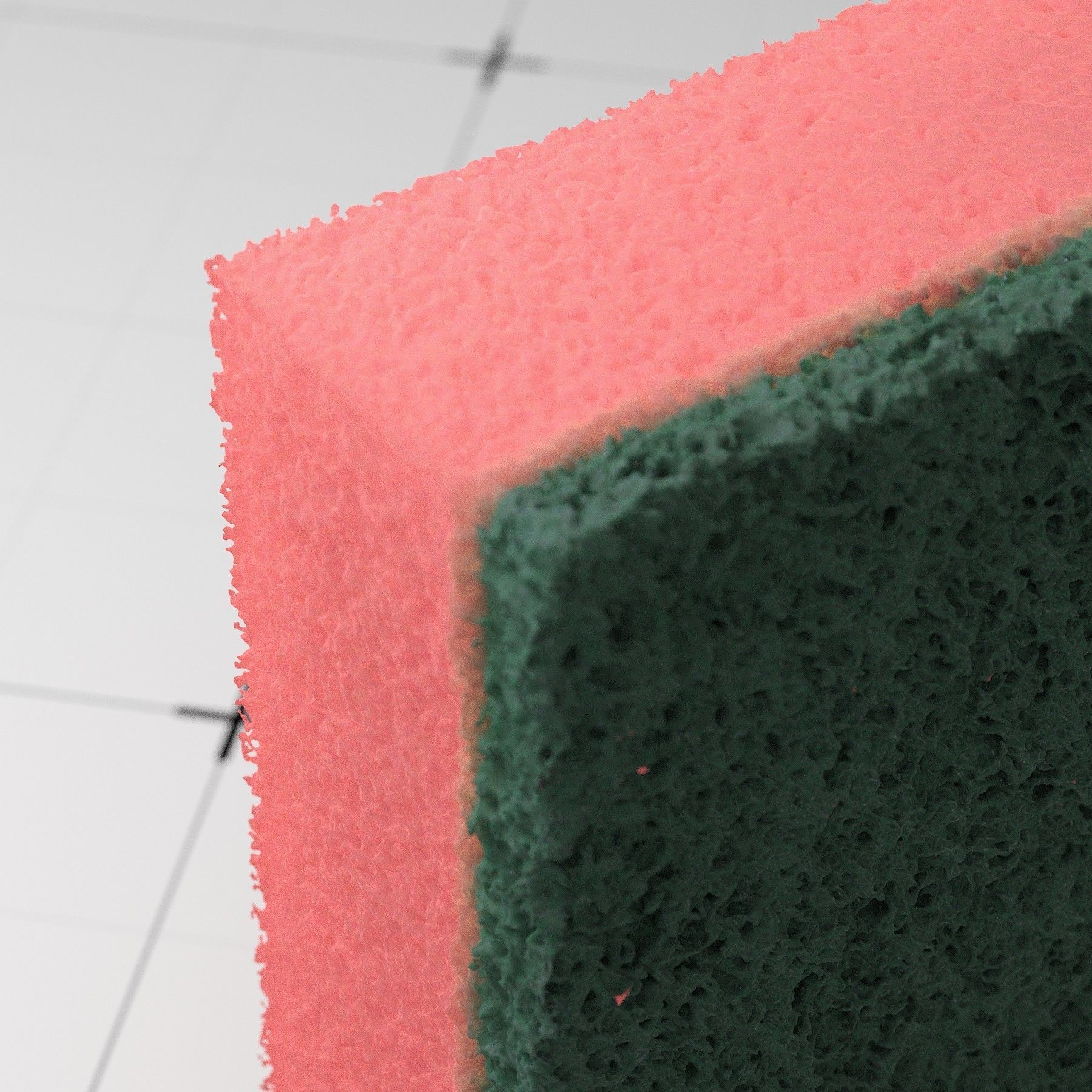 Detailed Sponge 3D Model 3D model | CGTrader