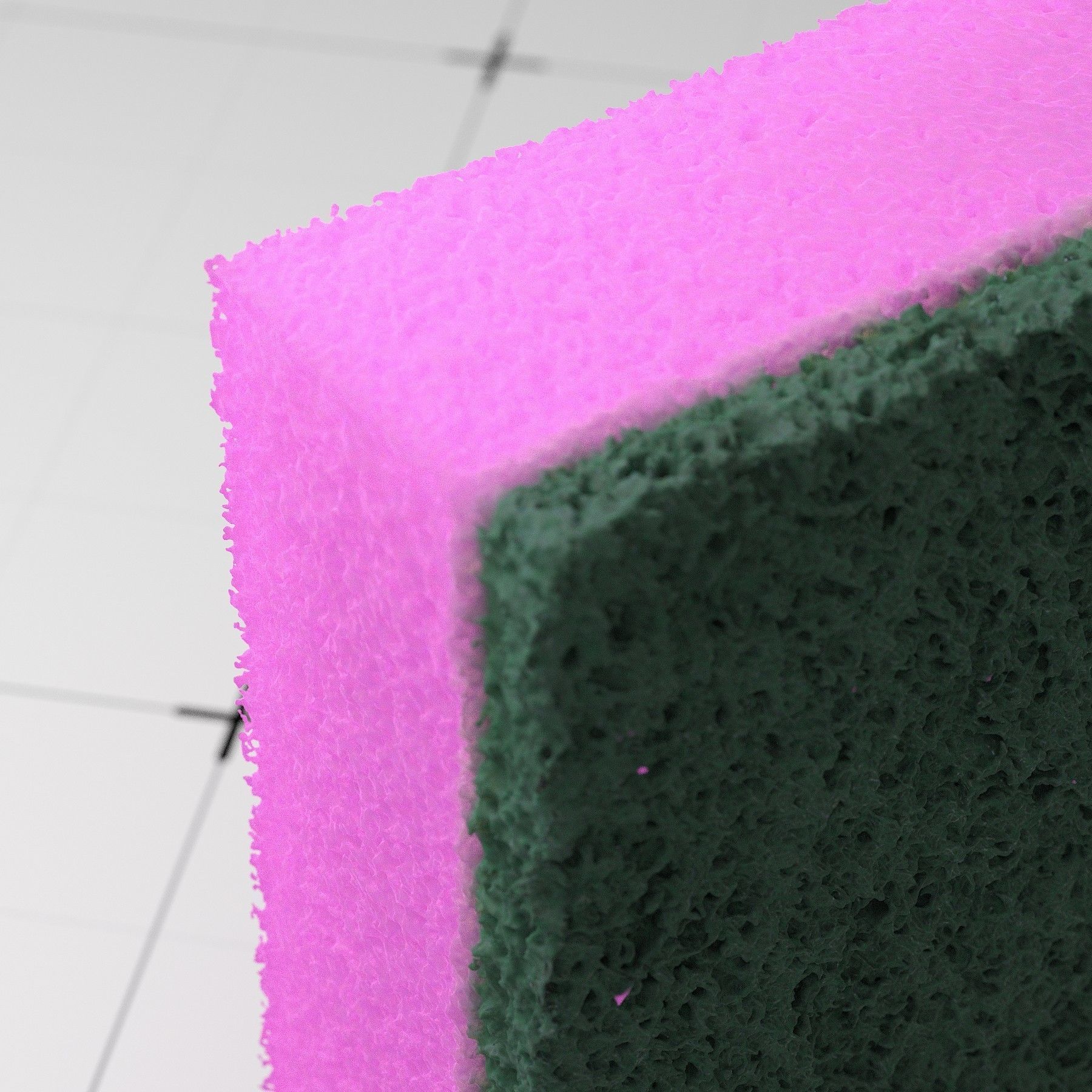 Detailed Sponge 3D Model 3D model | CGTrader