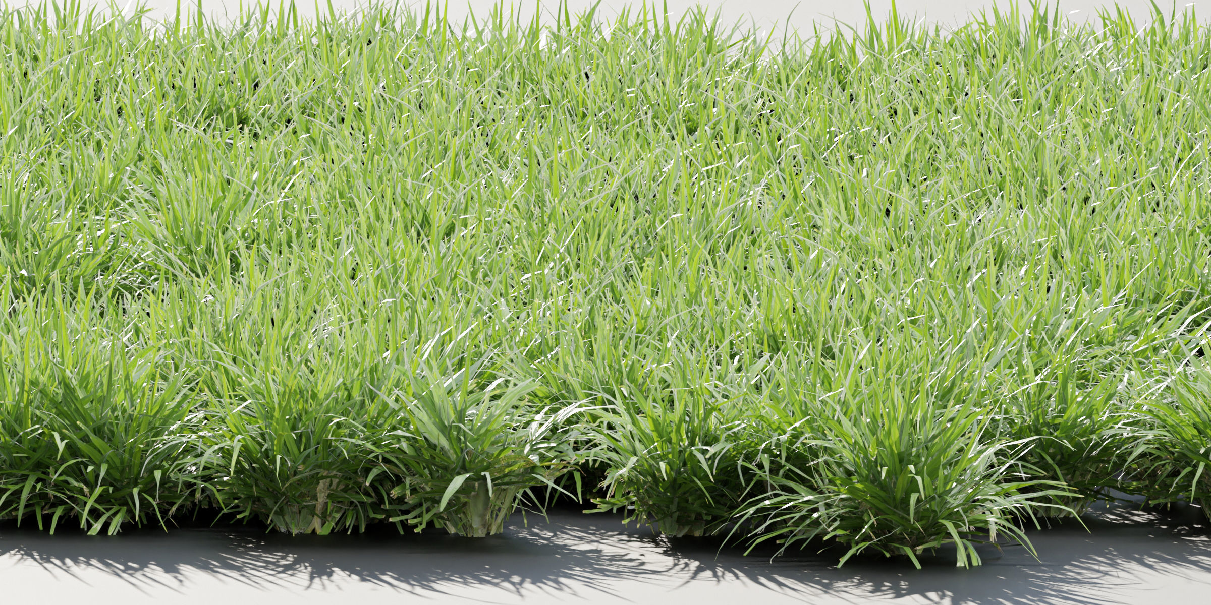 3D model Grass Clumps vol 152-Blender VR / AR / low-poly | CGTrader