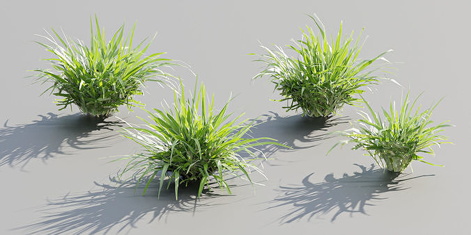 3D model Grass Clumps vol 152-Blender VR / AR / low-poly | CGTrader