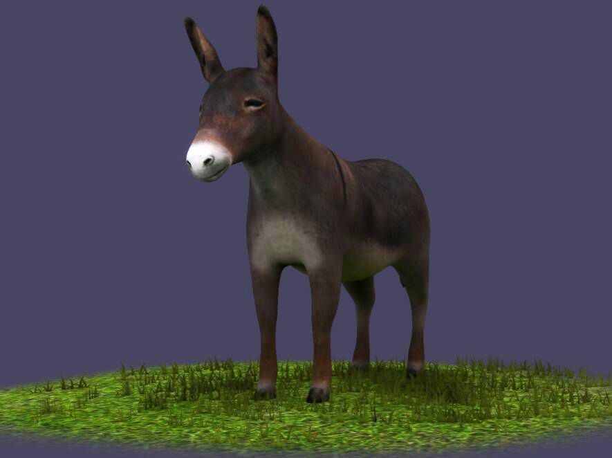 Donkeys ranches livestock breeding mammals 3D model | CGTrader