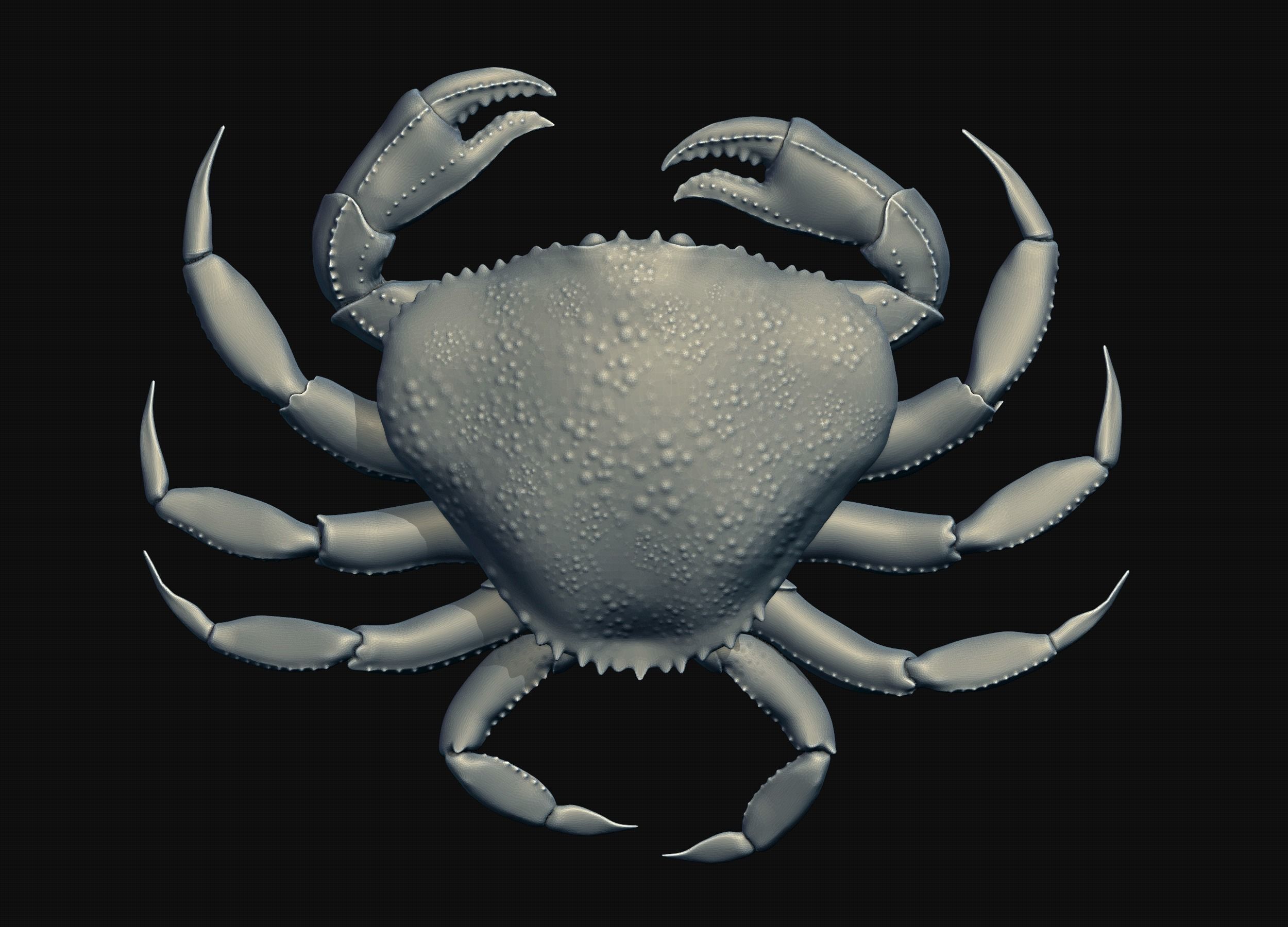 Crab sea 3D model 3D printable | CGTrader