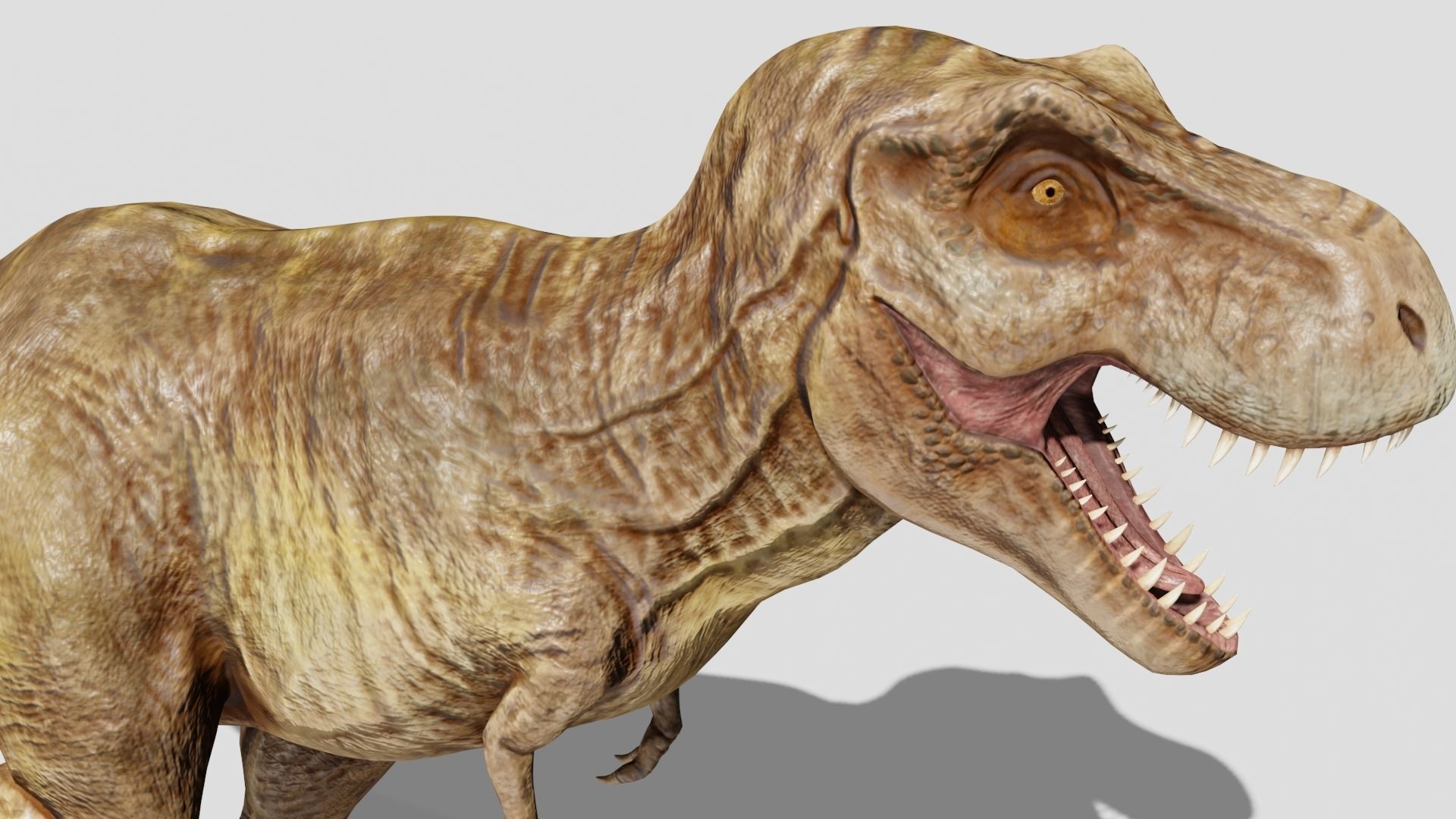 3D model Tyrannosaurus Rex VR / AR / low-poly | CGTrader