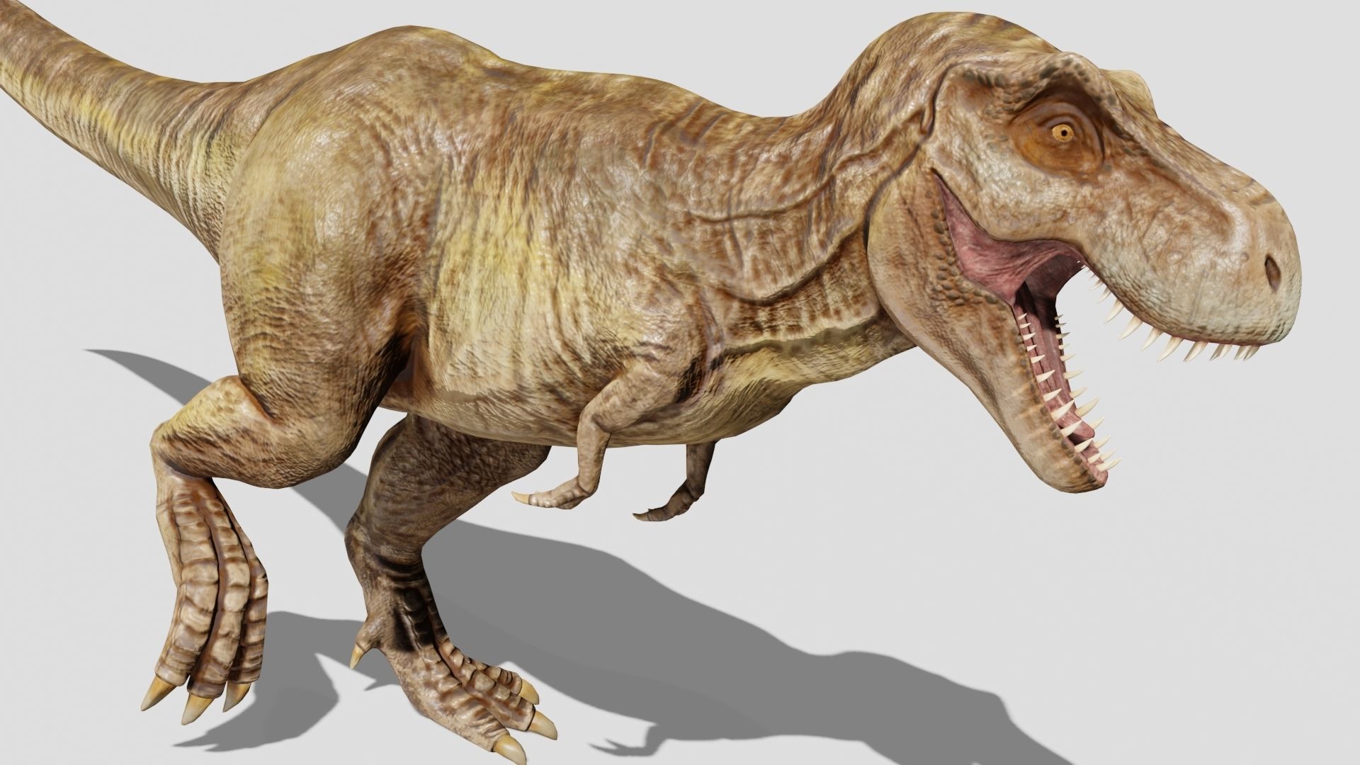 3D model Tyrannosaurus Rex VR / AR / low-poly | CGTrader