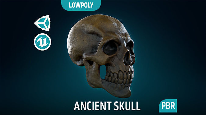 3D model Human Skeleton Skull - Ancient - Lowpoly - Game Ready VR / AR ...
