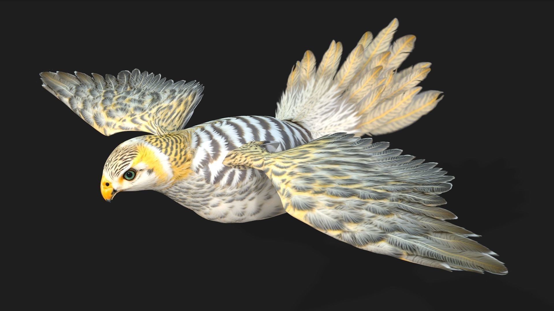 Kestrel B7 3D model animated rigged | CGTrader