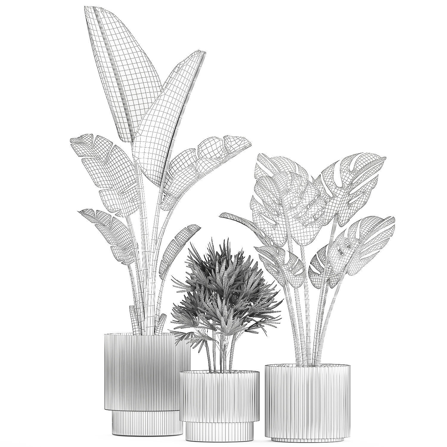 Set of small Strelitzia Monstera Raphis Palm plants 1452 3D model ...