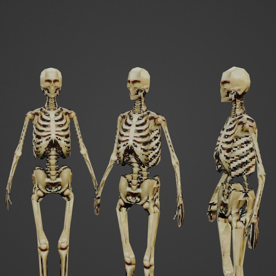 Lowpoly Skeleton Character free VR / AR / low-poly 3D model | CGTrader
