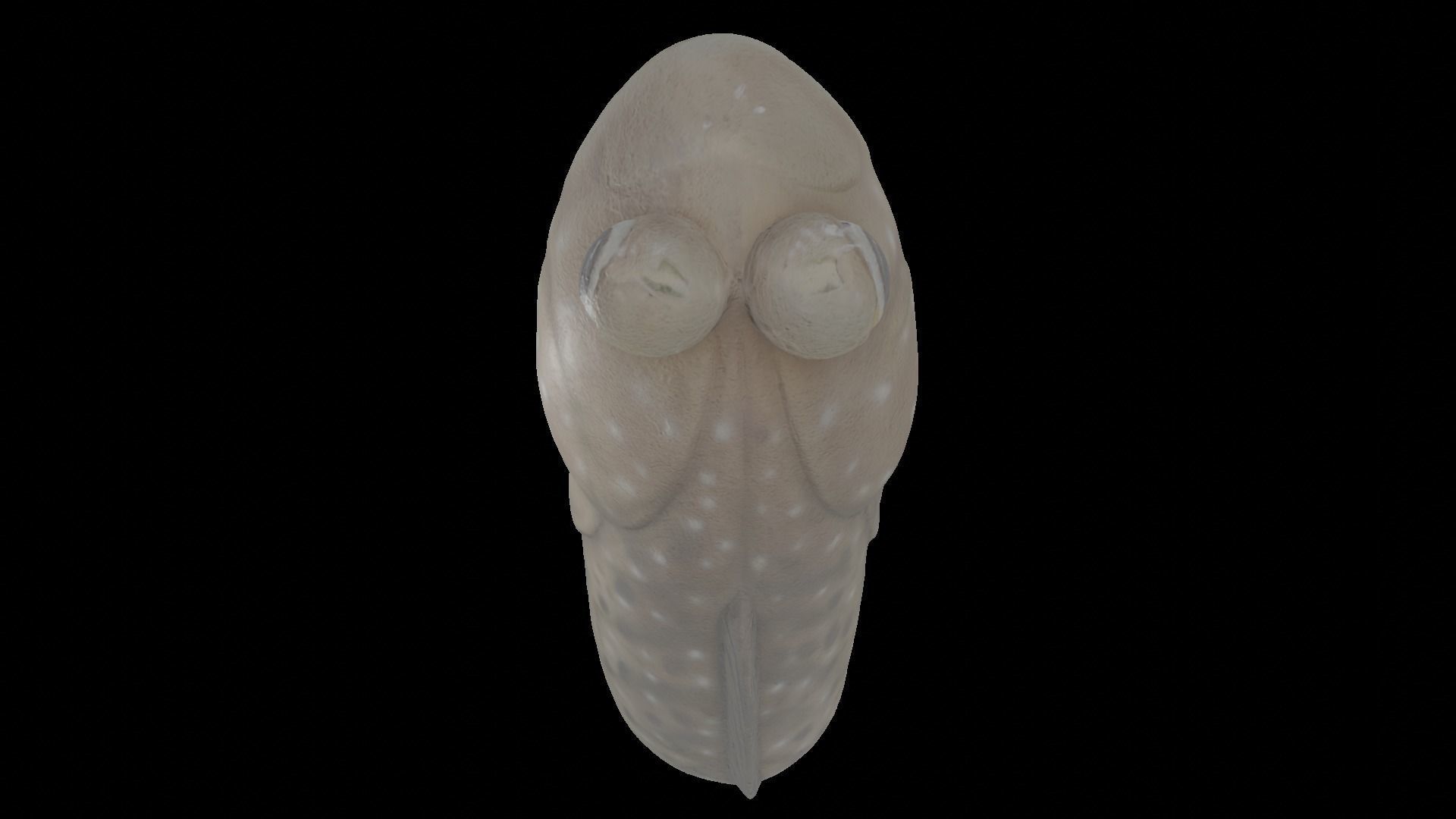 Mudskipper Sculpture 3D model | CGTrader