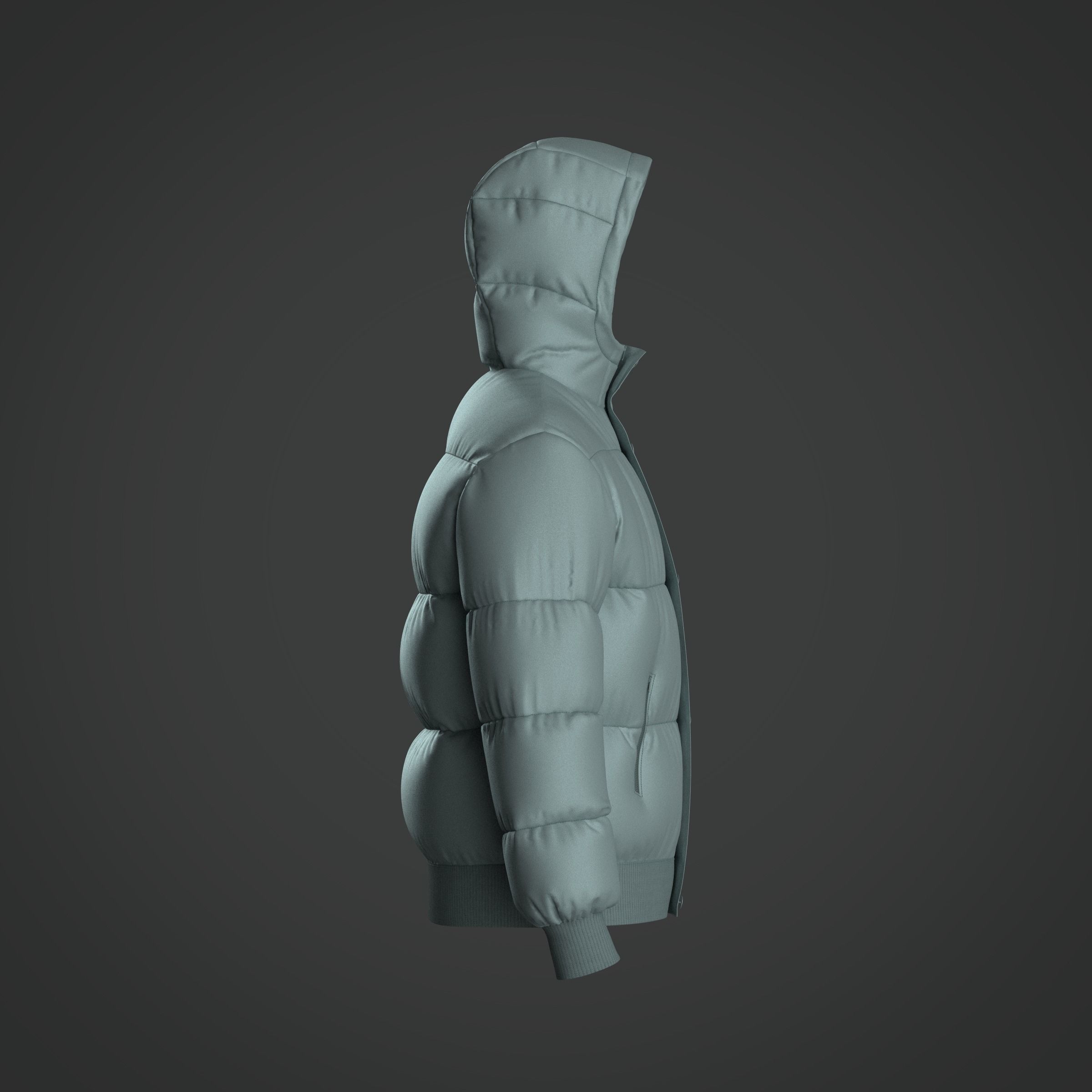 Mens Puffer Jacket 3D model | CGTrader