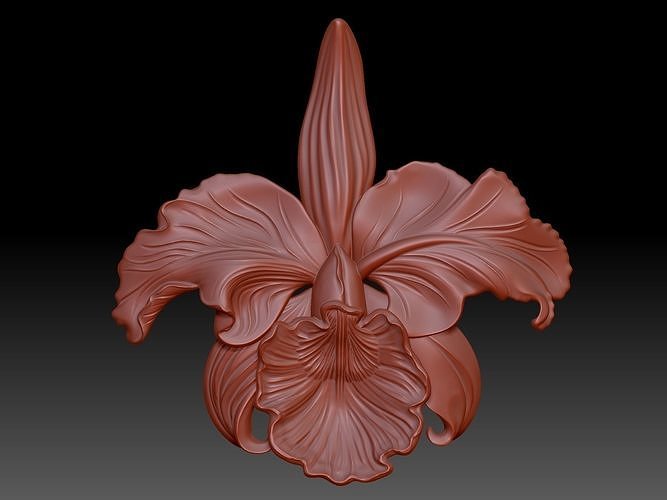 Orchid 3D model 3D printable | CGTrader