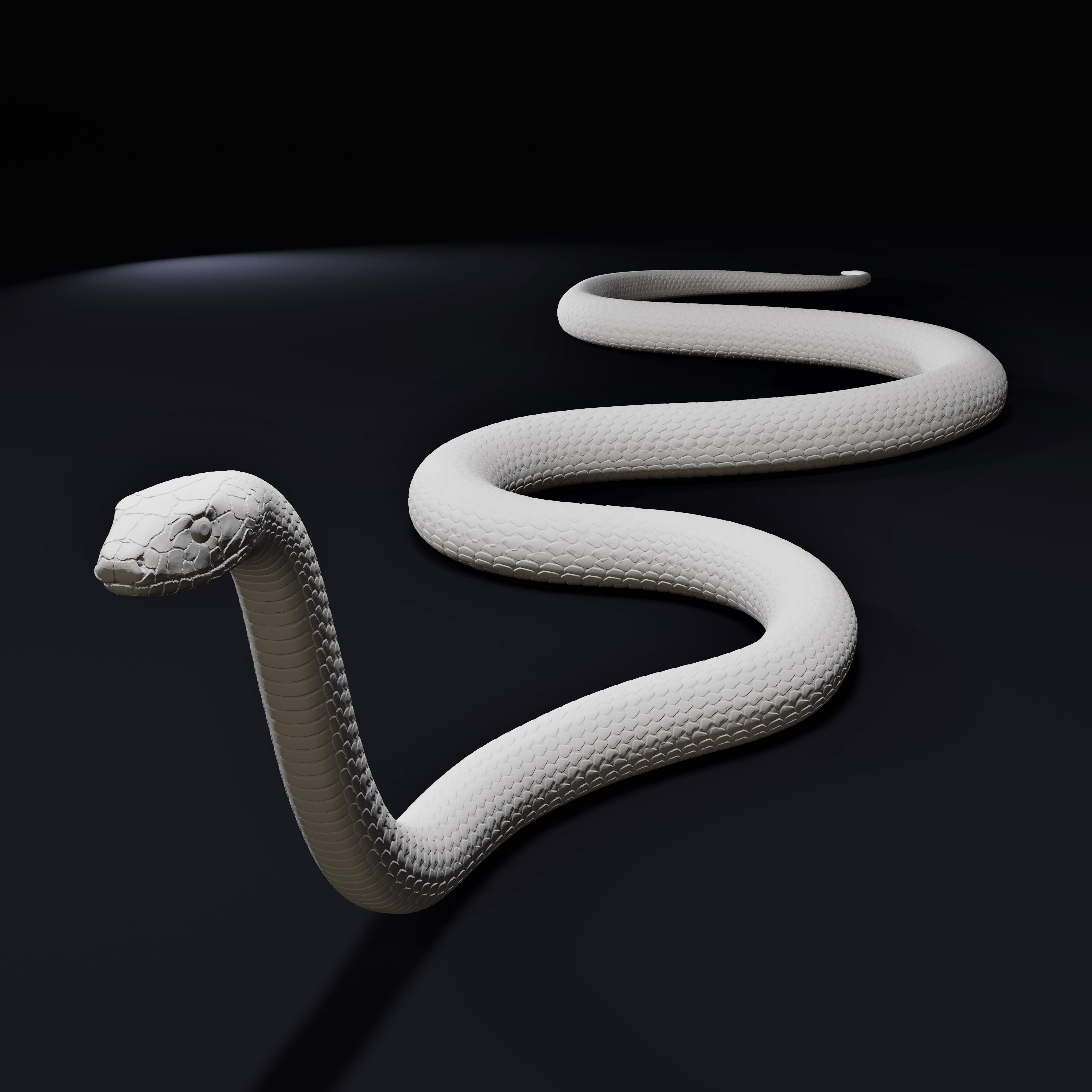 Black Mamba Venomous Snake Reptile 3D Print 3D model 3D printable | CGTrader