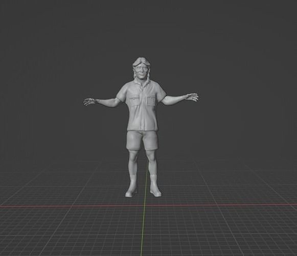 Steve Irwin 3D model 3D printable | CGTrader