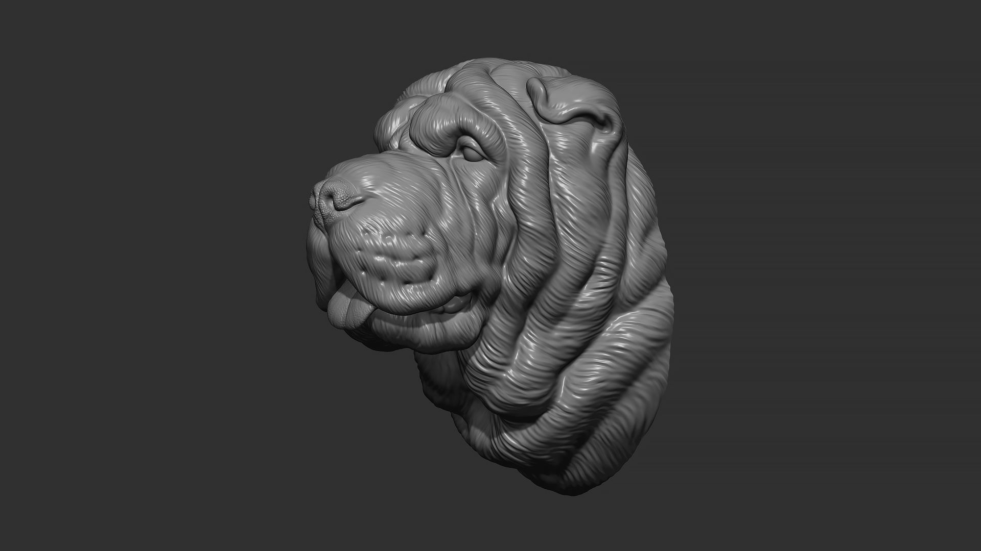 Shar Pei dog bust 3D model 3D printable | CGTrader