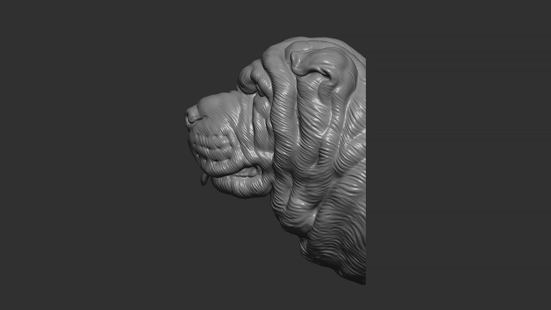 Shar Pei dog bust 3D model 3D printable | CGTrader