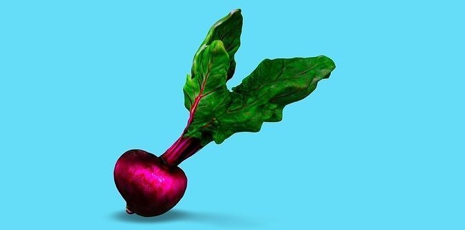Hyperrealistic Beetroot 3D model | CGTrader