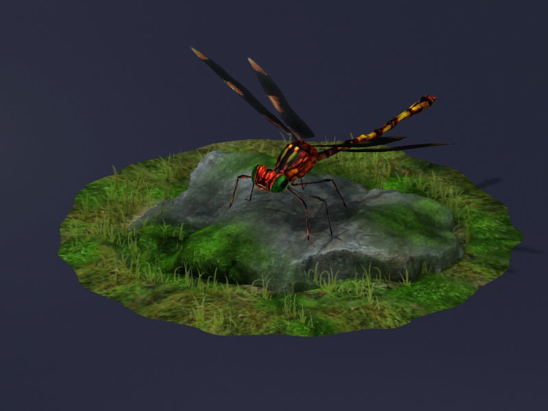 Dragonflies ants beneficial insects realistic arthropod insects 3D ...