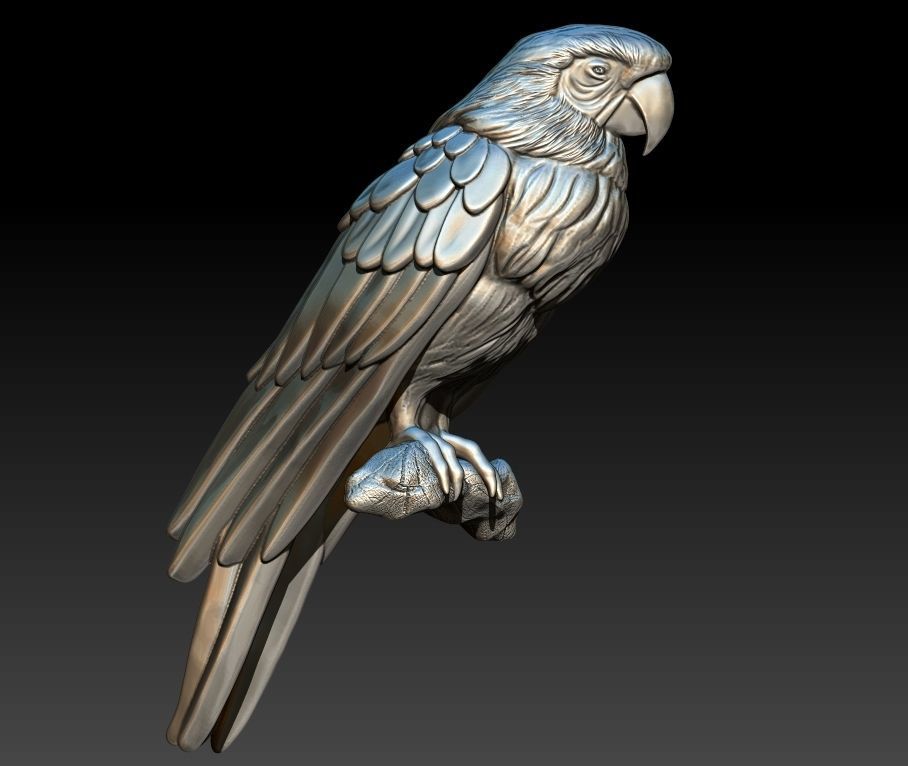 Parrot high poly 3D model 3D model 3D printable | CGTrader