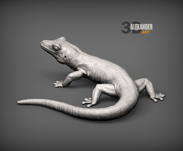 Day Gecko 3D model 3D printable | CGTrader