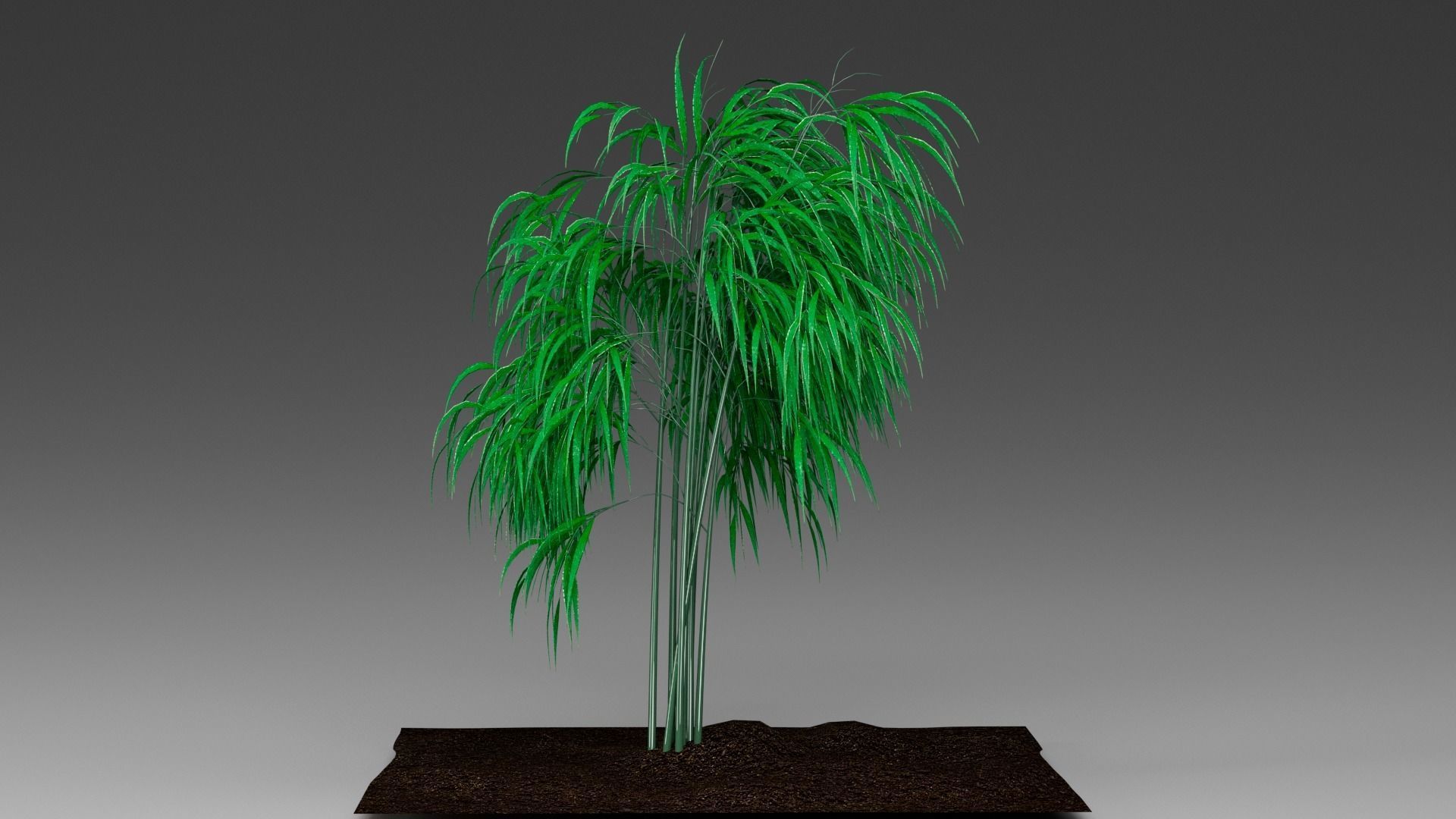 Decorative bamboo 3D model | CGTrader