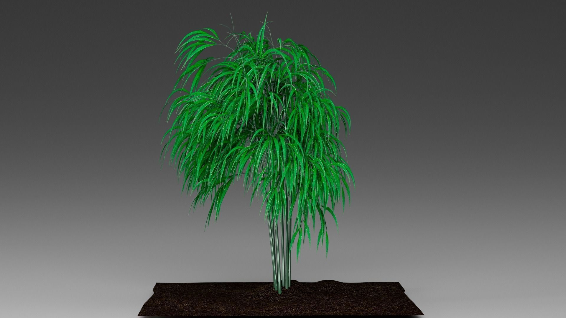 Decorative bamboo 3D model | CGTrader