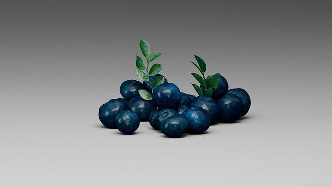 Blueberry 3D model | CGTrader