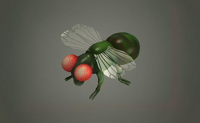 cartoon fly fly beetle insect character 3D model | CGTrader