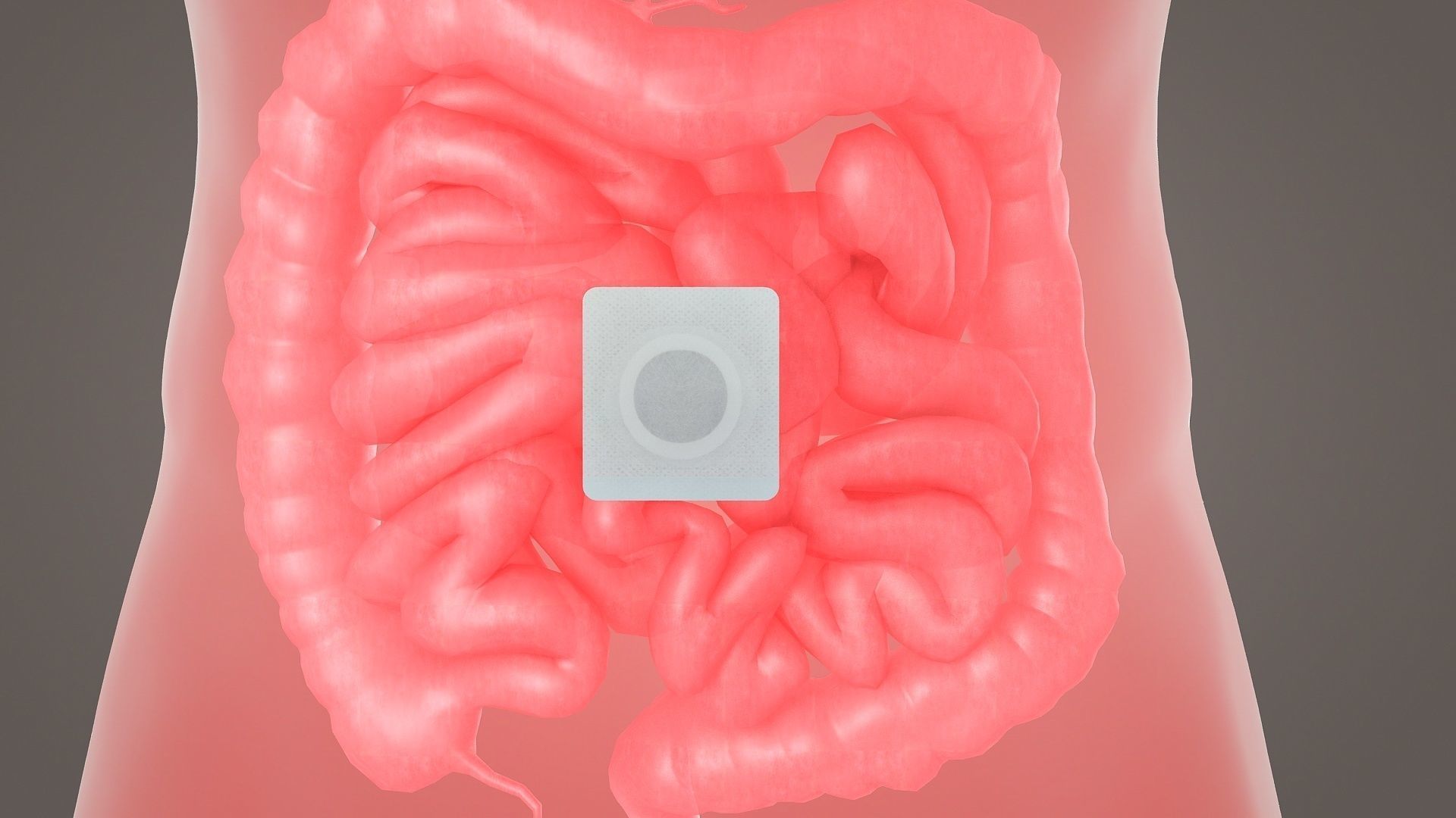 tomach patch magnetic patch animation dissection medical 3D model ...