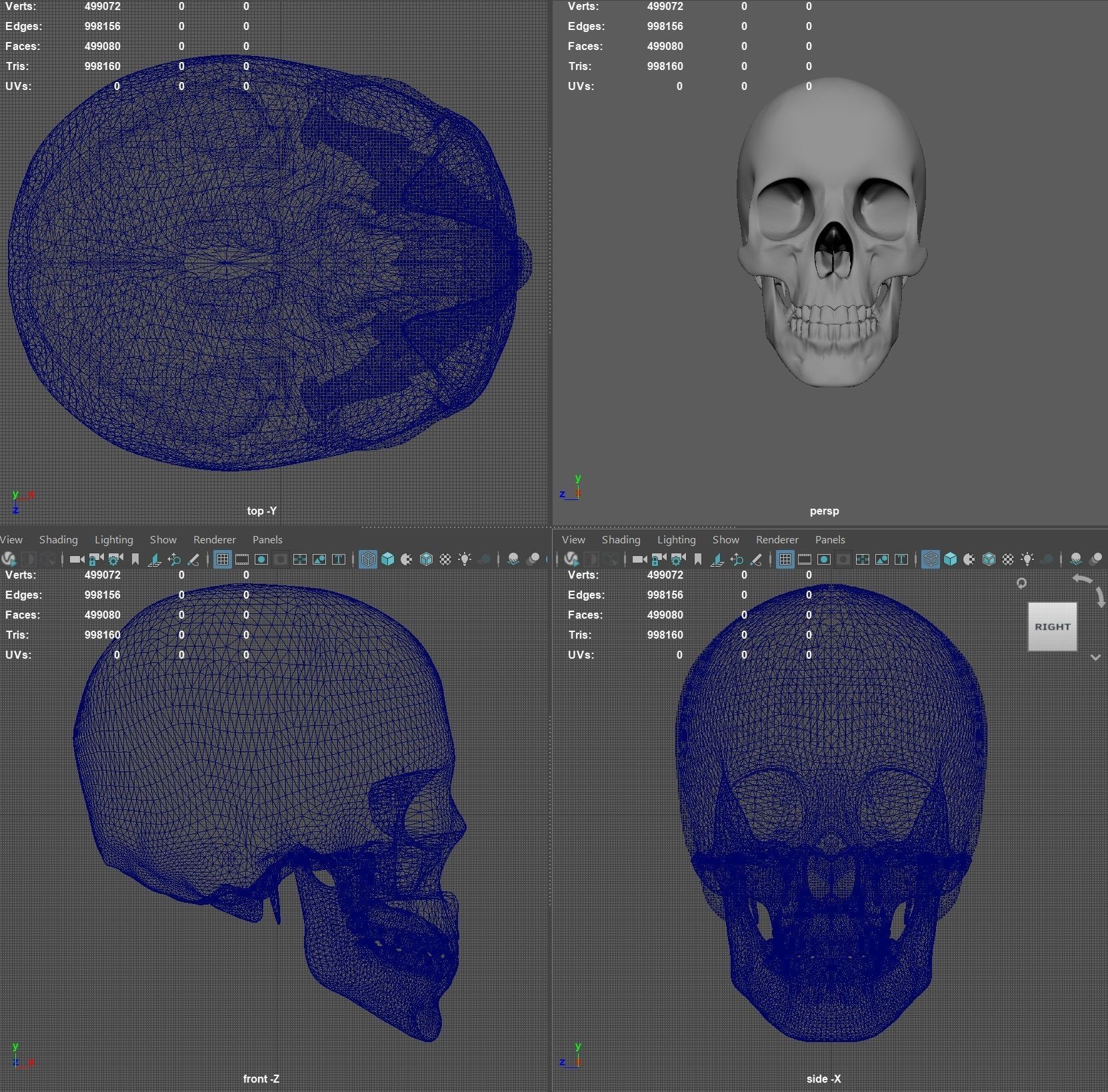 Scull 3D model 3D printable | CGTrader