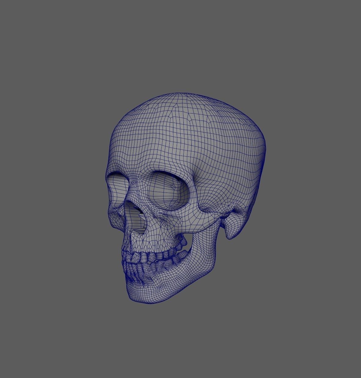 Scull 3D model 3D printable | CGTrader