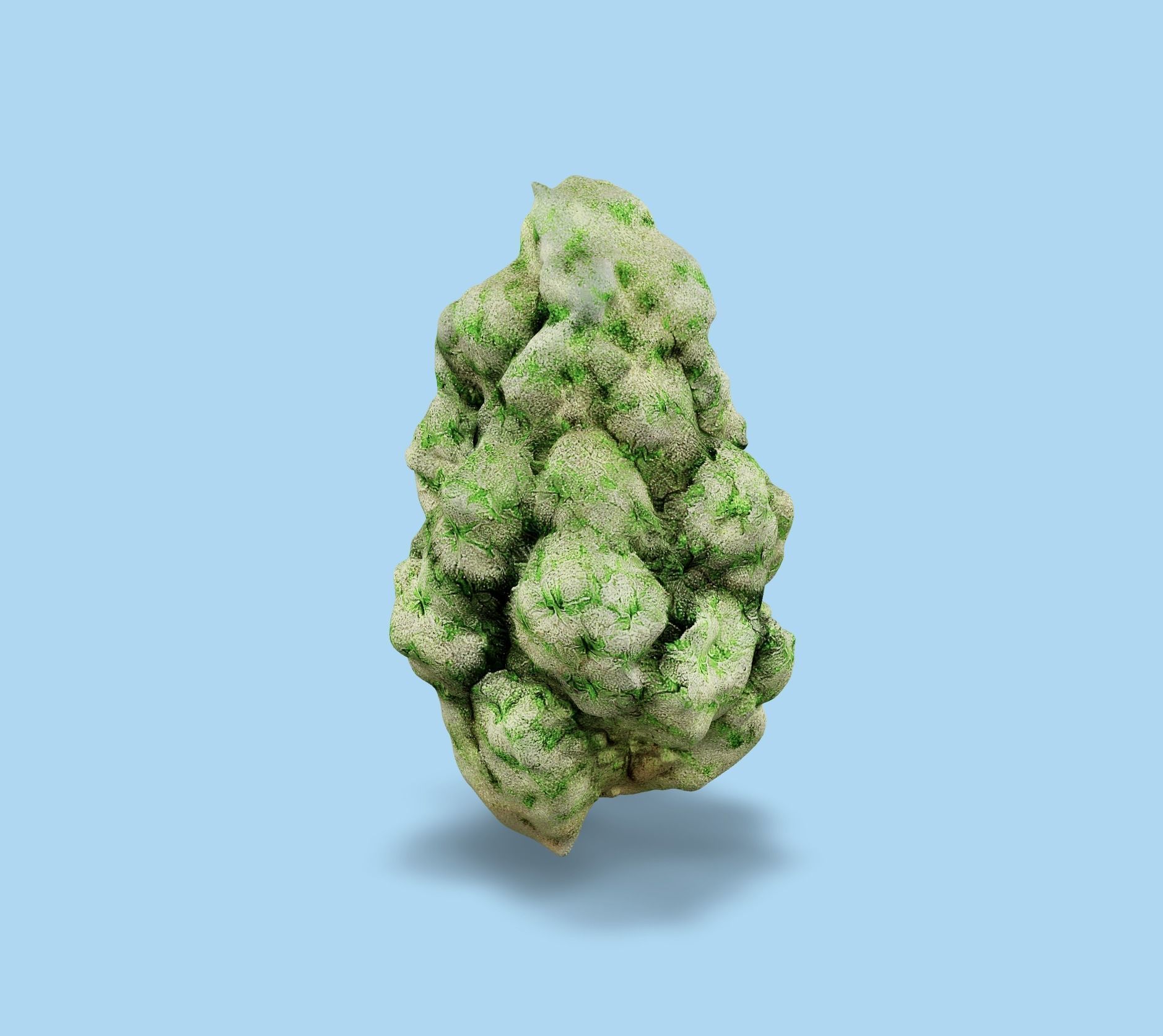 3D model cannabis VR / AR / low-poly | CGTrader