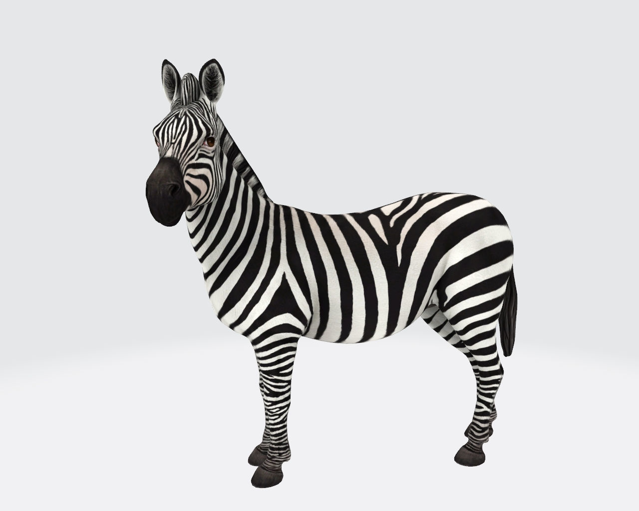 Zebra 3D Model Ready to Print 3D model 3D printable | CGTrader