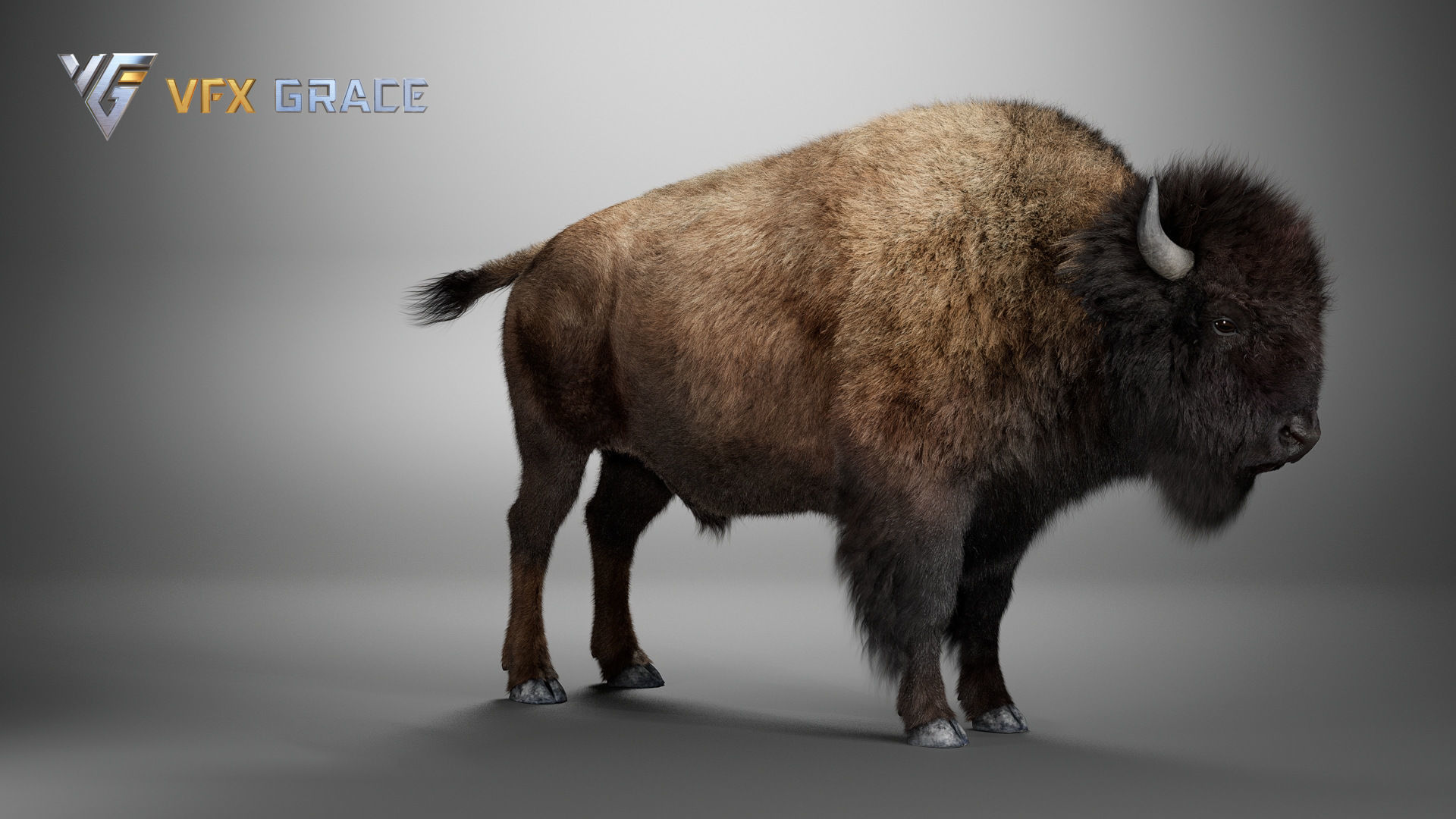 Bison Male UE Character Asset 3D model animated rigged | CGTrader