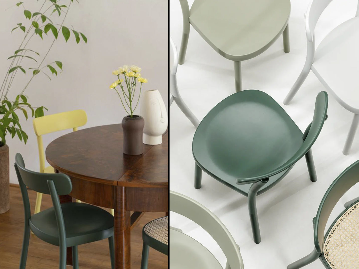 La Zitta Collection by TON | CGTrader