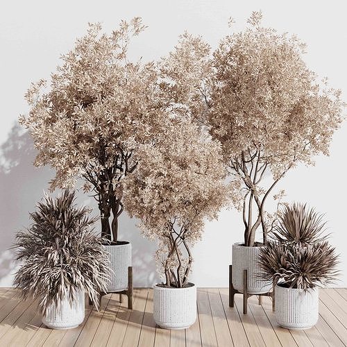 Indoor plant set 423 tree autumn with dried plant 3D model | CGTrader