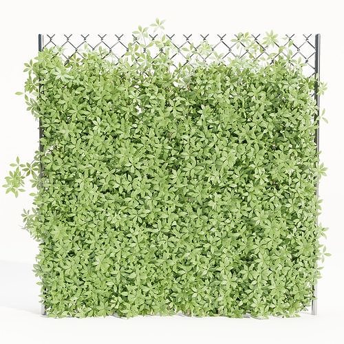 Virginia creeper on fence vol 182-Blender 3D model | CGTrader