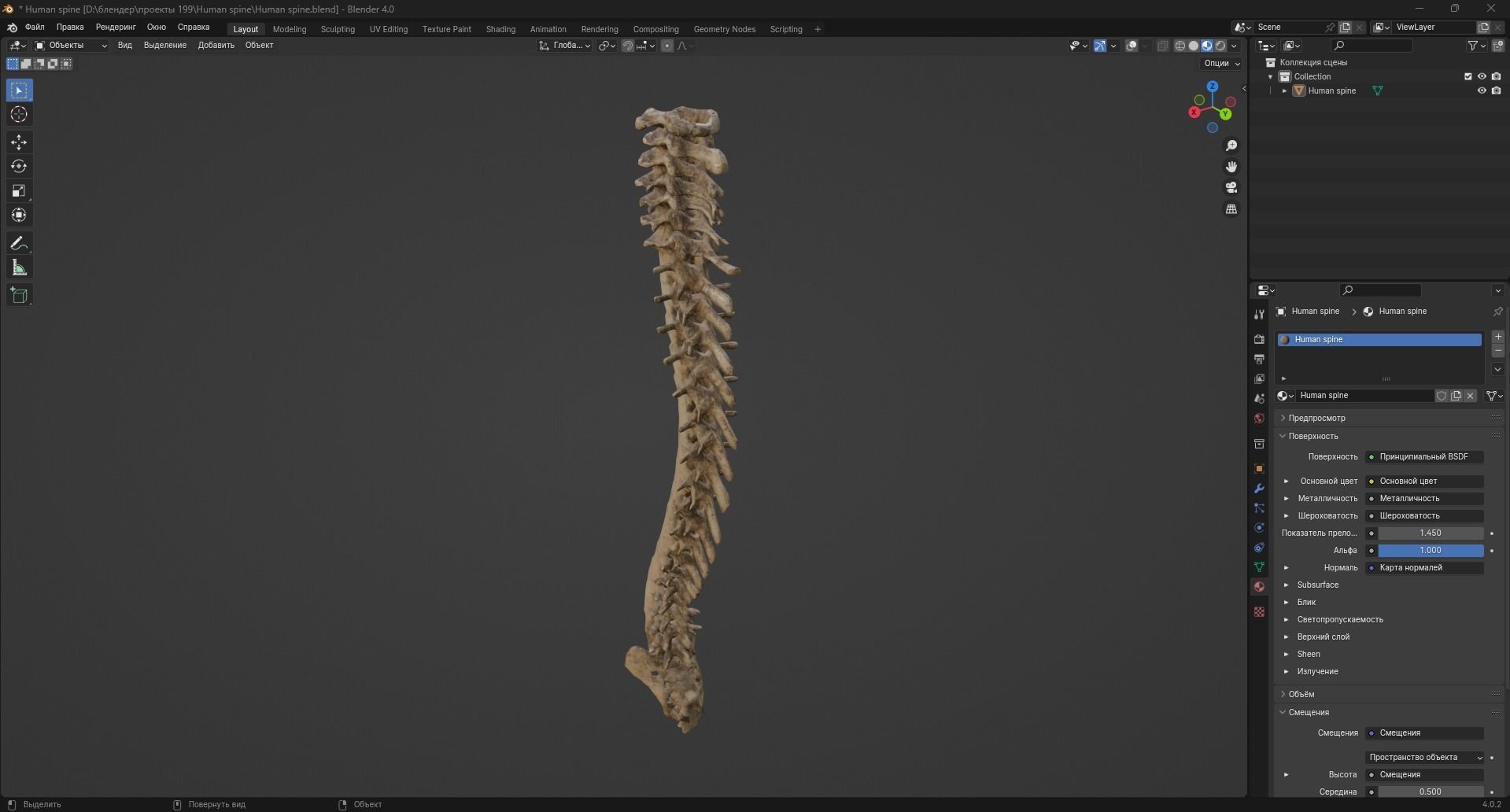3D model Human spine VR / AR / low-poly | CGTrader