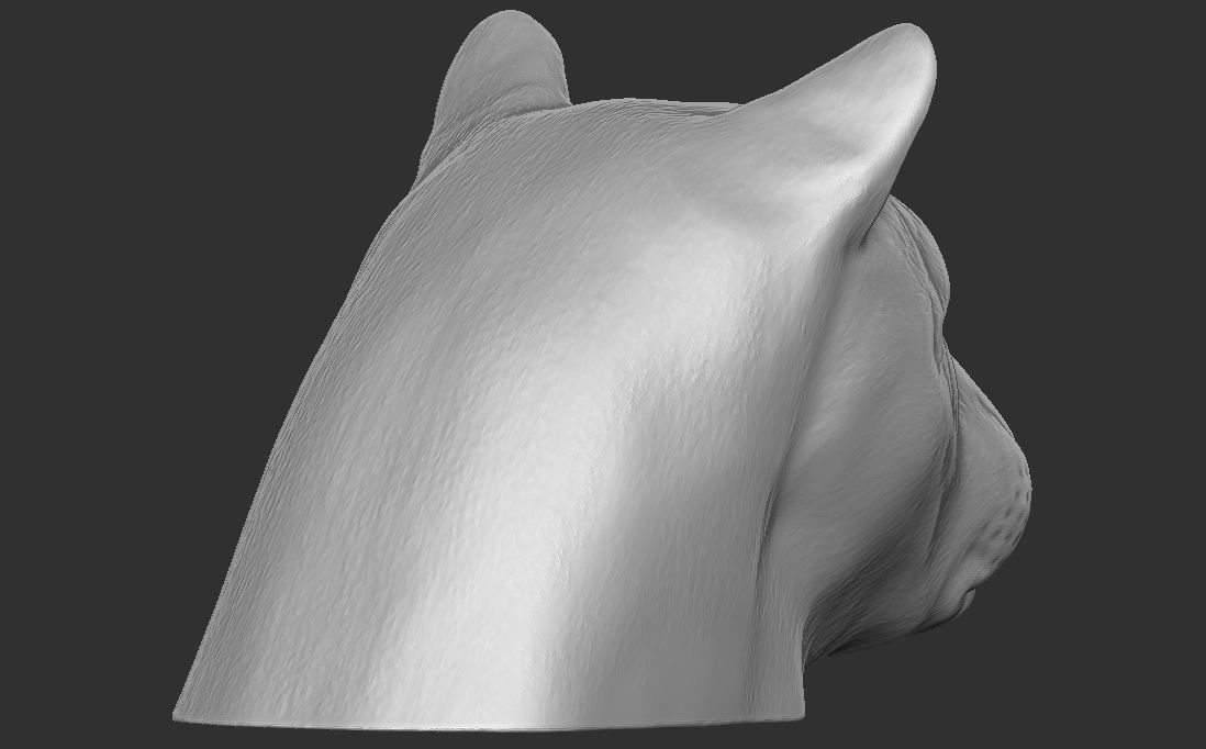 Leopard head for 3D printing 3D model 3D printable | CGTrader