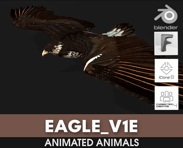 Eagle V1E 3D model animated rigged | CGTrader