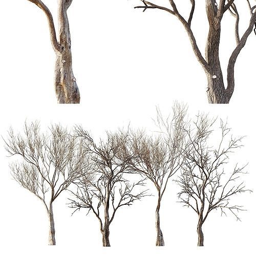 Dry Or Dead Tree 02 3D model | CGTrader