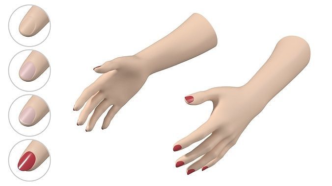 Female Hands Gesture 01 Base Mesh 3D model | CGTrader