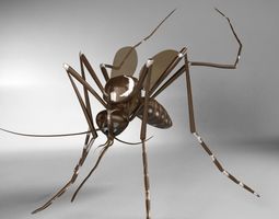 Mosquito 3D Models | CGTrader
