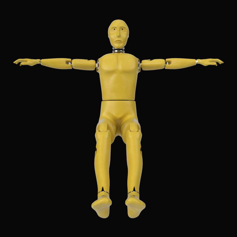 Crash Test Dummy 3D model rigged | CGTrader