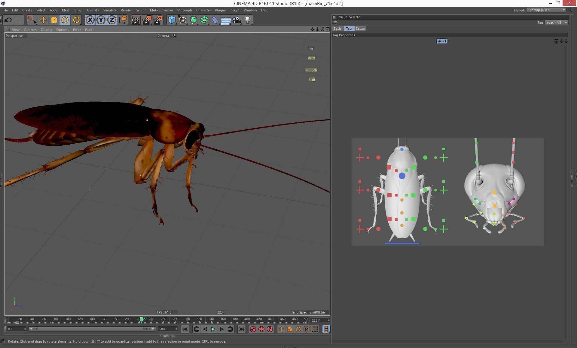 Cockroach rigged and animated for Cinema 4d 3D model animated rigged ...