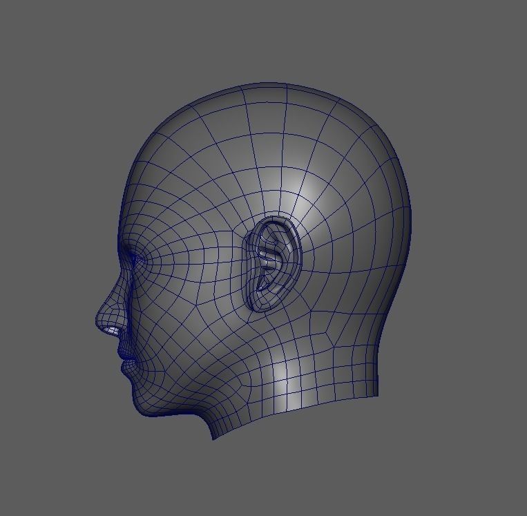 3D model Female Head Base Mesh VR / AR / low-poly OBJ - CGTrader.com